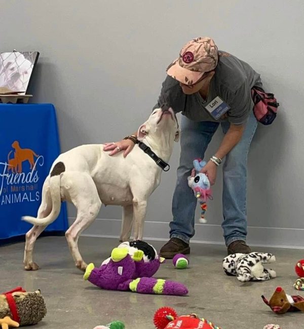 Home - Friends of Marshall Animals